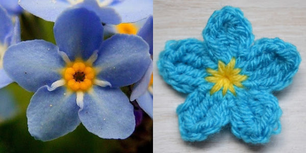 Free Crochet Flower Pattern Day 7 – Forget-me-not – Crochet Arcade